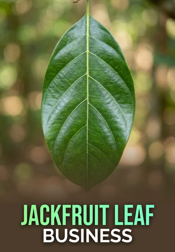 Jackfruit Leaf Business | Business Ideas With Zero Investment